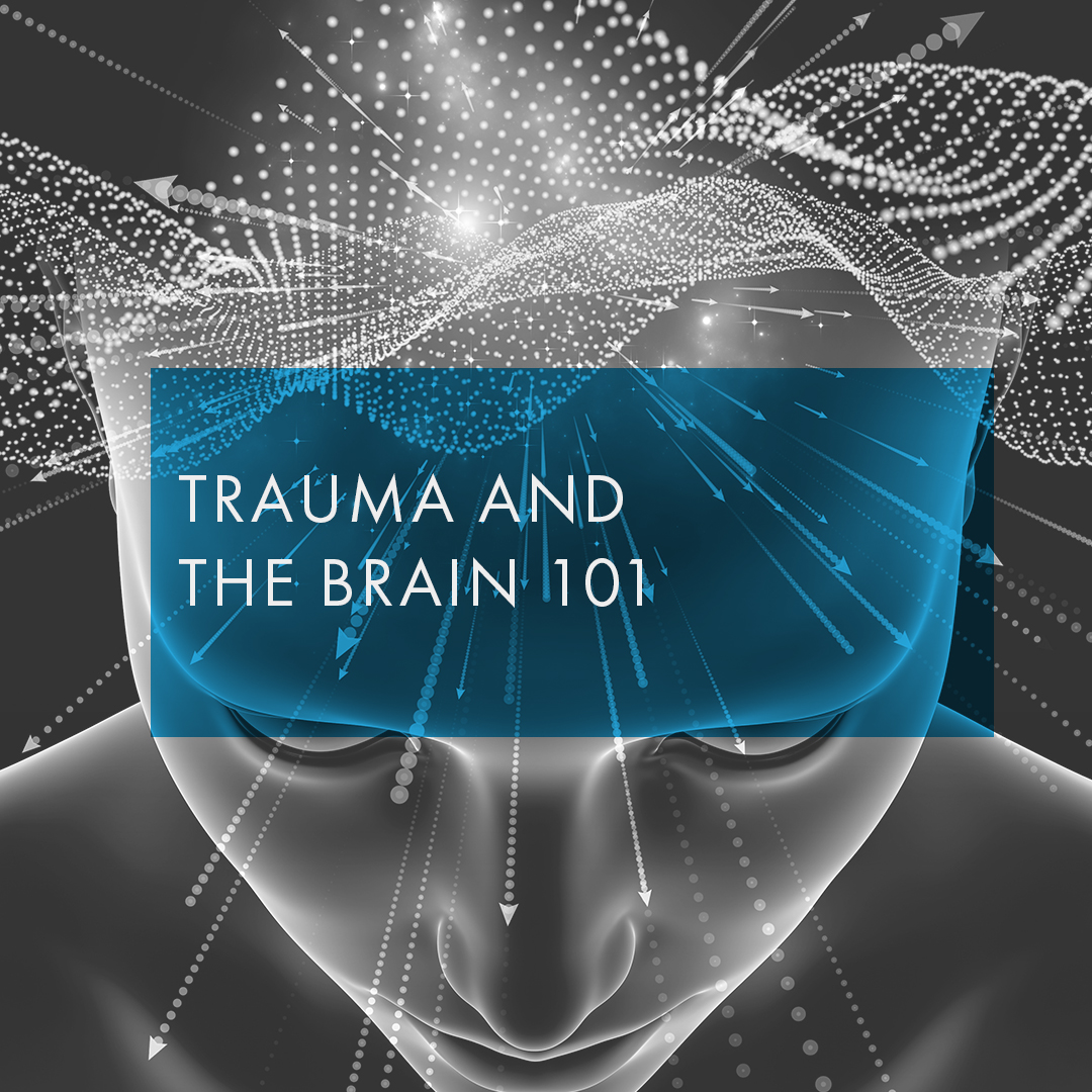 Courses – SkillBuild Powered by Breakthrough